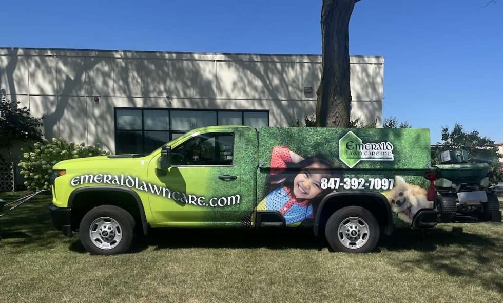 Taking Your Lawn to the Next Level with Emerald Lawn Care | Emerald ...