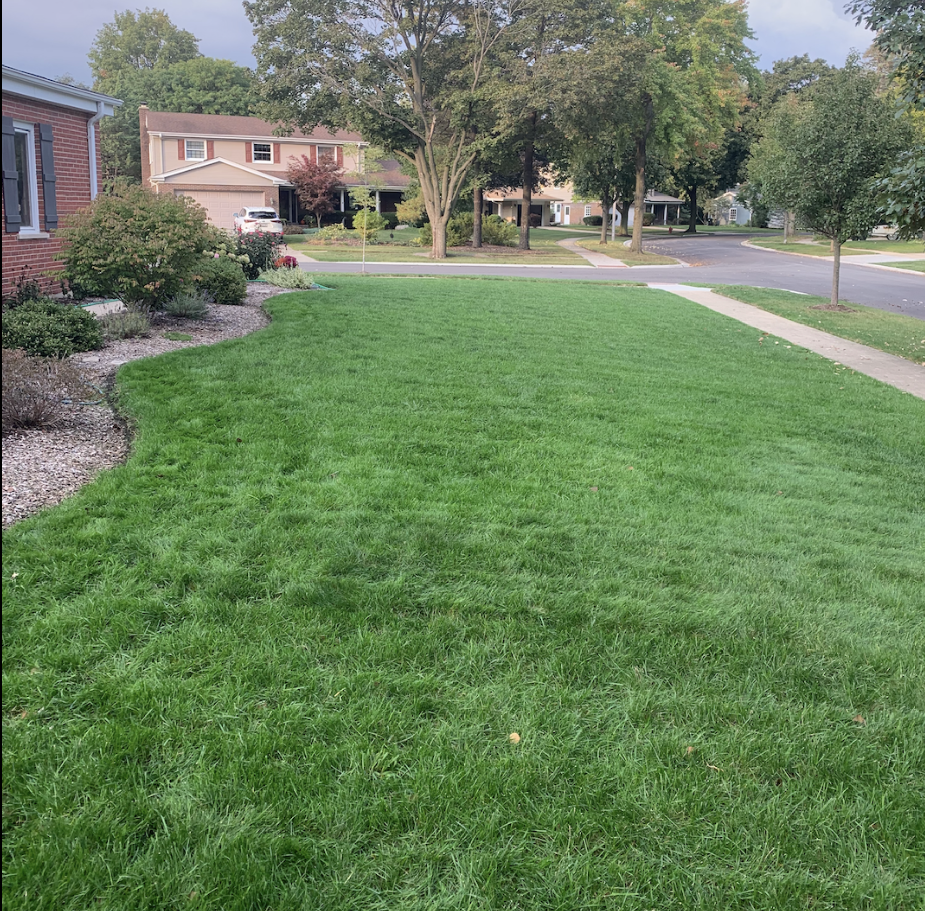 ValPak - Emerald Lawn Care